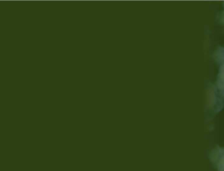 Conscious Living with Suspire