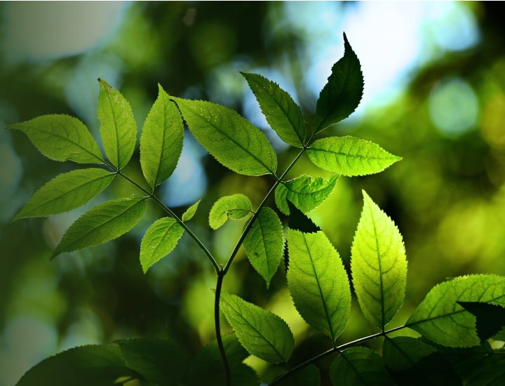 Conscious Living with Suspire